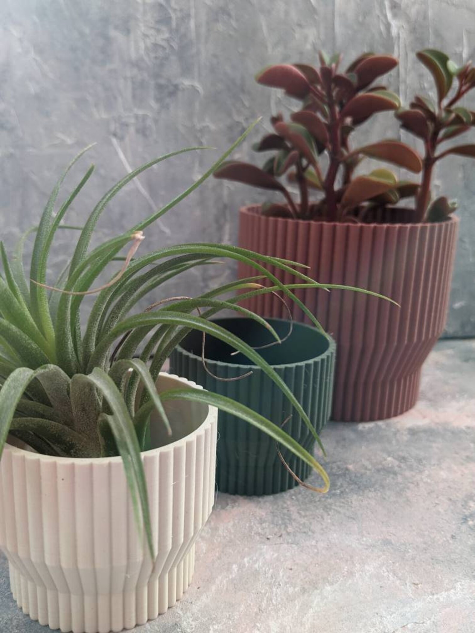 6 Inch Large Modern Handmade Minimalist Planter Indoor - Etsy