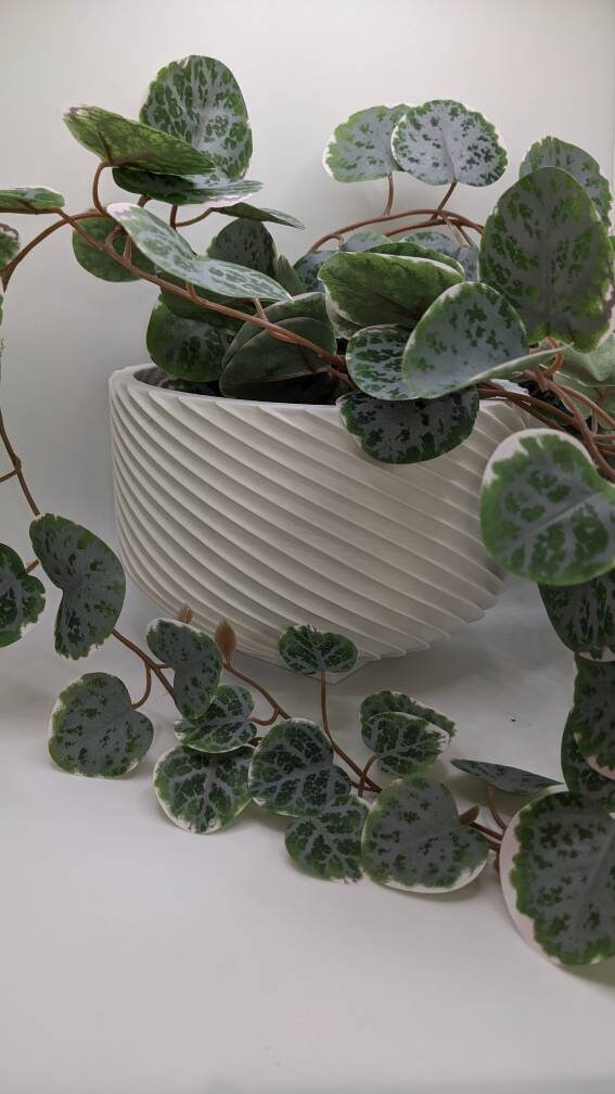 Large Set of Wavy Indoor Wall Planters, Boho Indoor Decor, Hanging ...