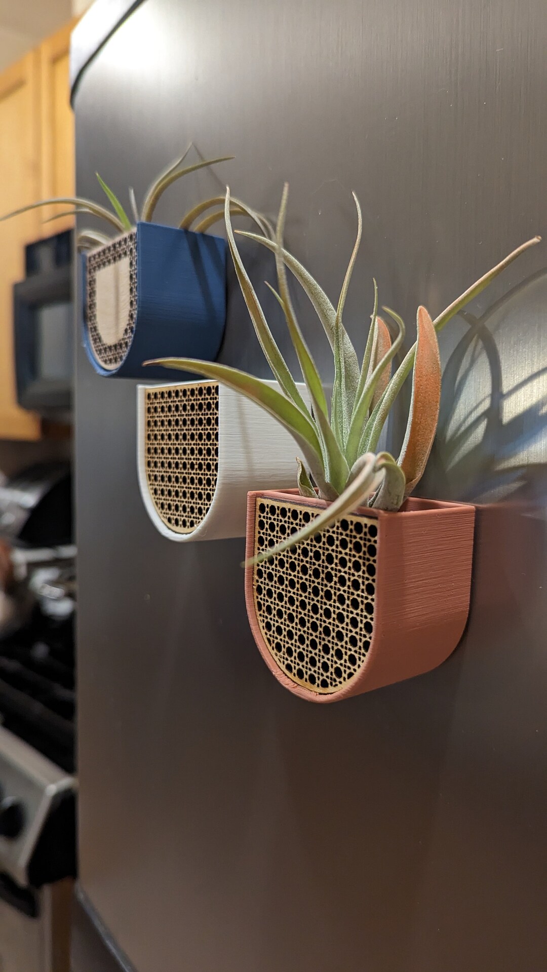 Boho Magnet, Set of 2 Rattan Style Air Plant Magnet, Succulent Magnet ...