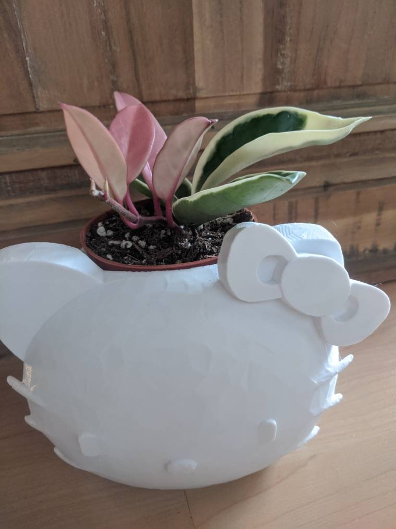 Large HELLO KITTY planter /Valentines Day Gift/ airplant | Etsy