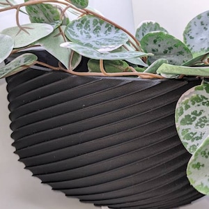 Large Set of Wavy Indoor Wall Planters, Boho Indoor Decor, Hanging ...