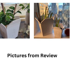 One LARGE Take Out Planter, Indoor Planter, 4 Inch Planter, Fun ...