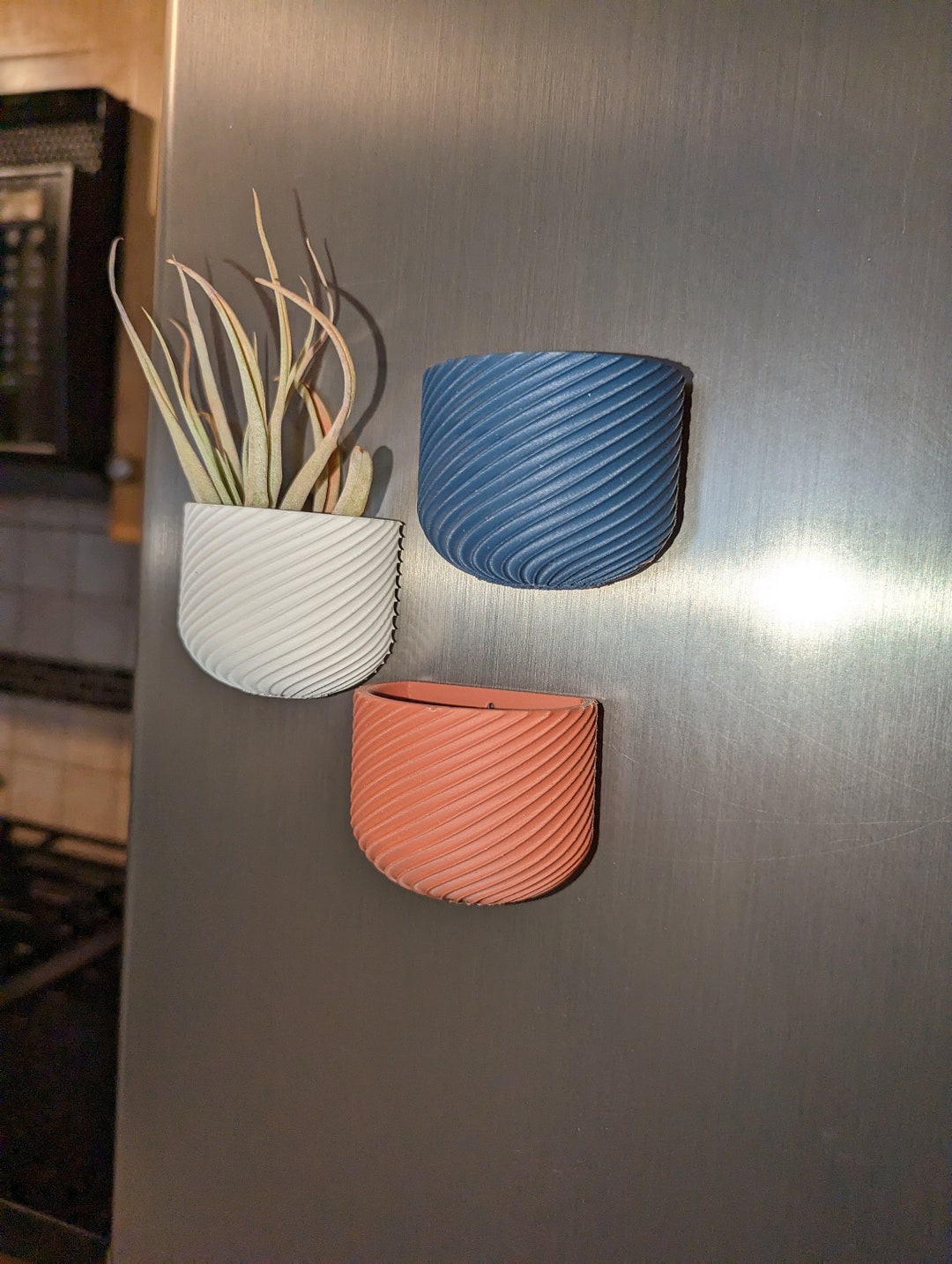 Set of 2 Air Plant Planter Magnet, Boho Decor, Fridge Magnet, Succulent ...