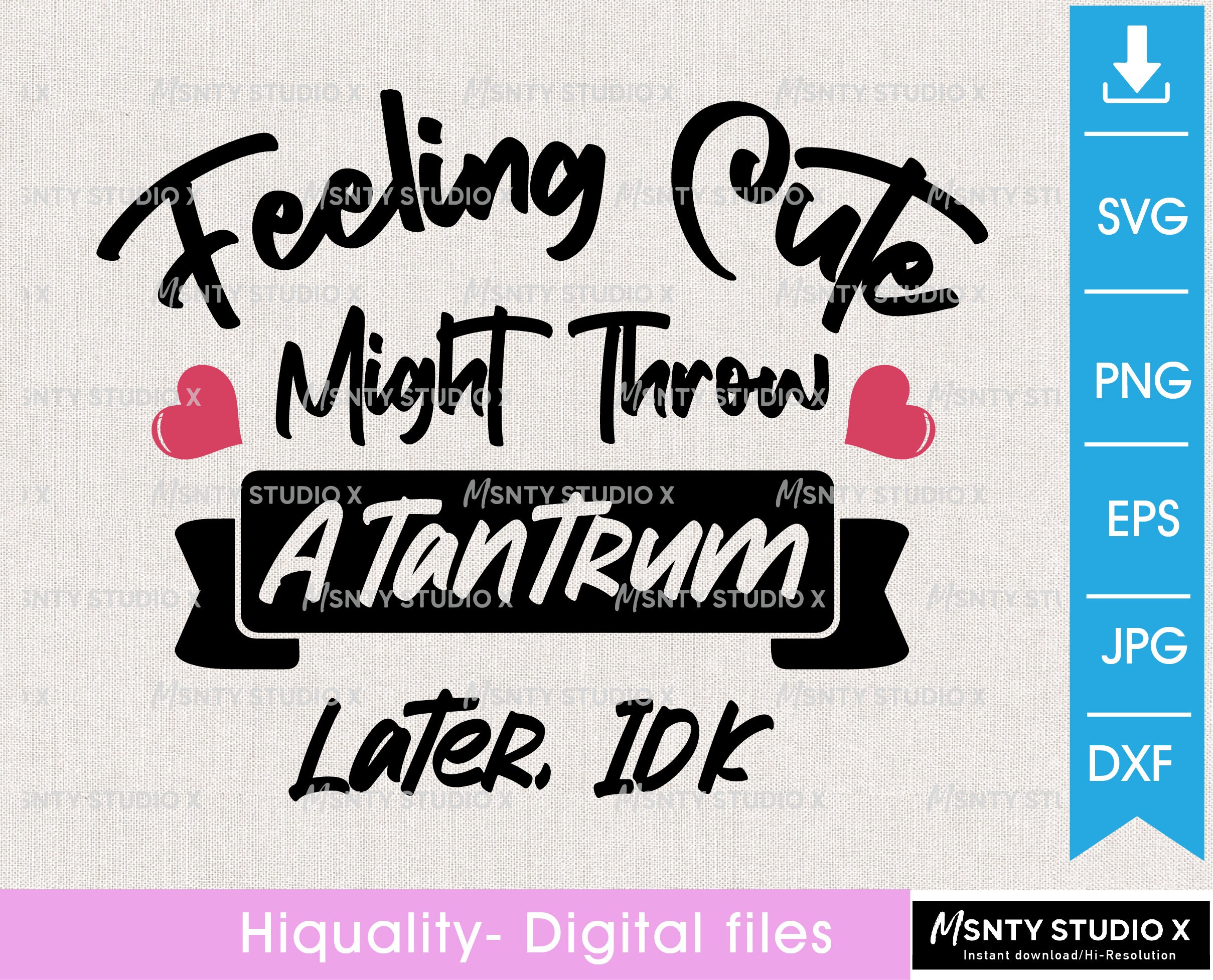 Feeling Cute Might Throw A Tantrum Later IDK Cute Funny | Etsy