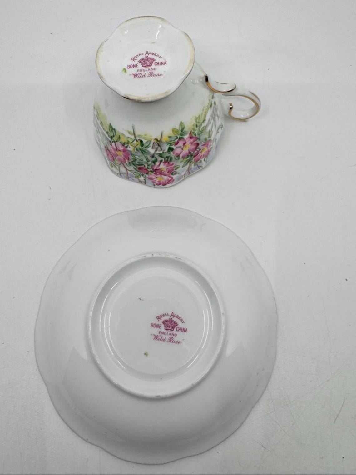 Royal Albert Wild Rose. Mid Century Teacup and Saucer - Etsy
