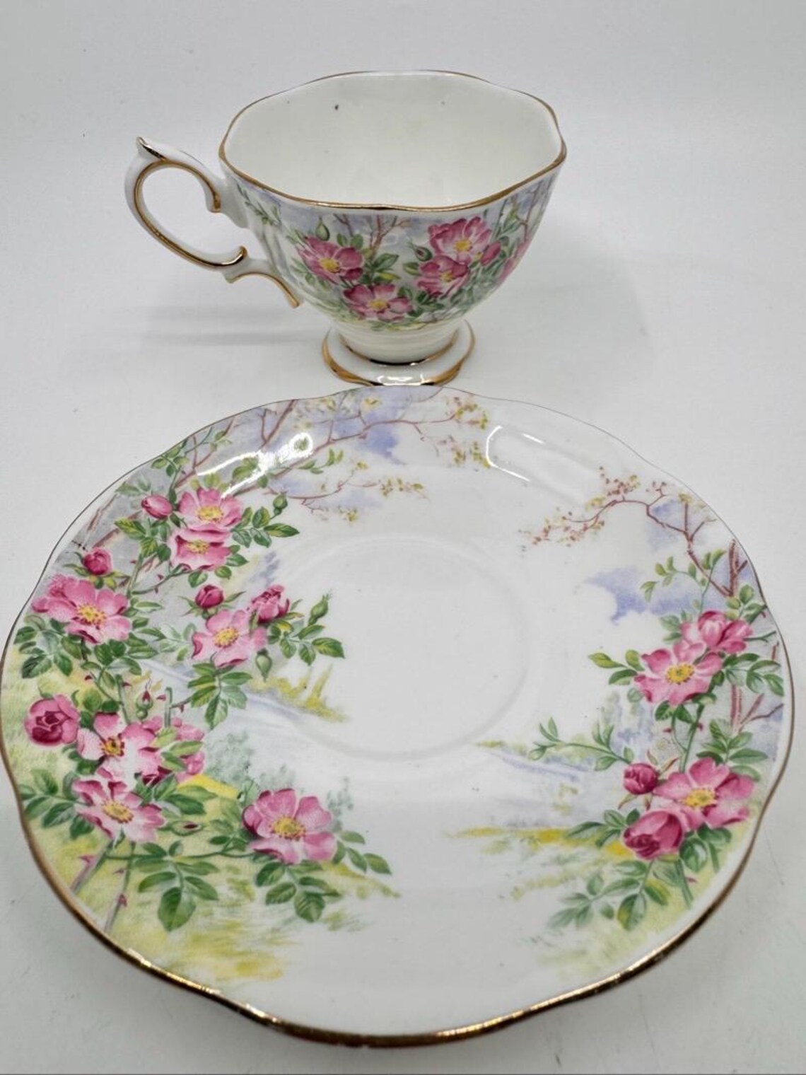 Royal Albert Wild Rose. Mid Century Teacup and Saucer - Etsy