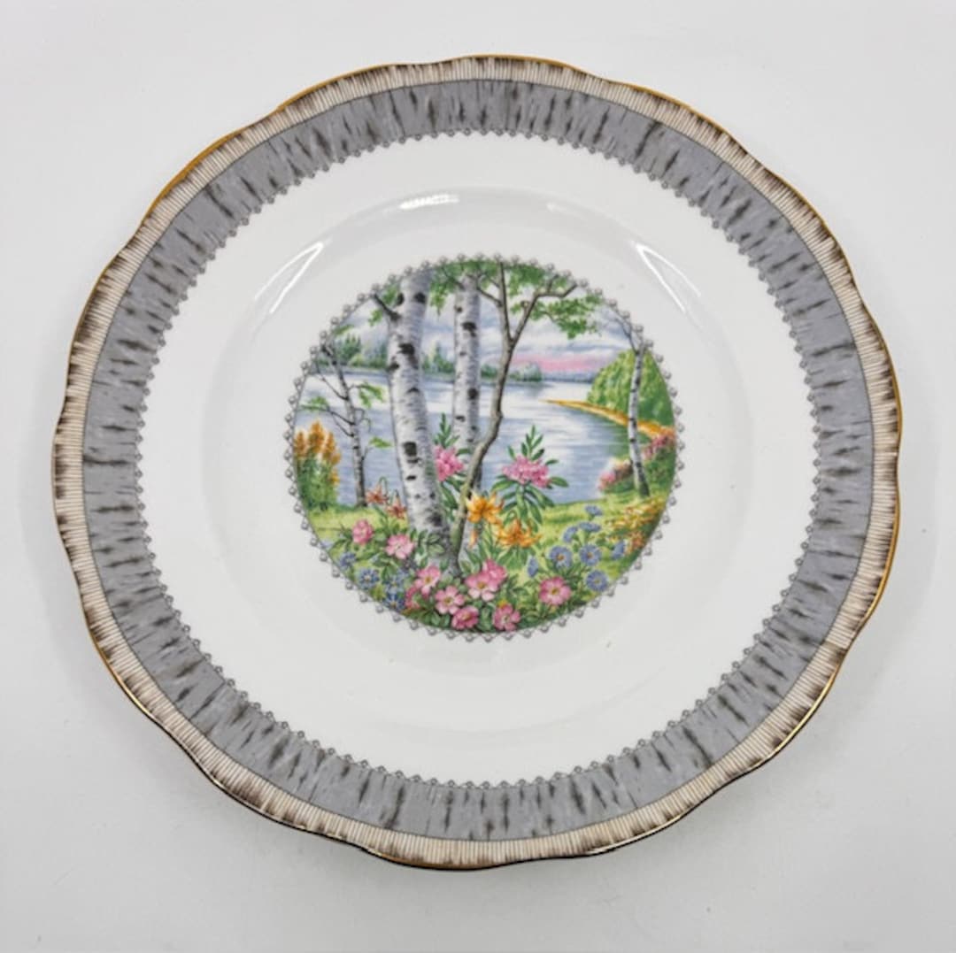 Royal Albert Silver Birch Set of 4 Dinner Plates - Etsy
