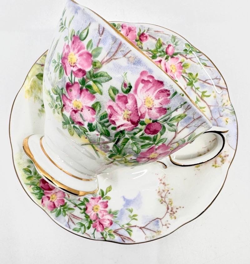 Royal Albert Wild Rose. Mid Century Teacup and Saucer - Etsy