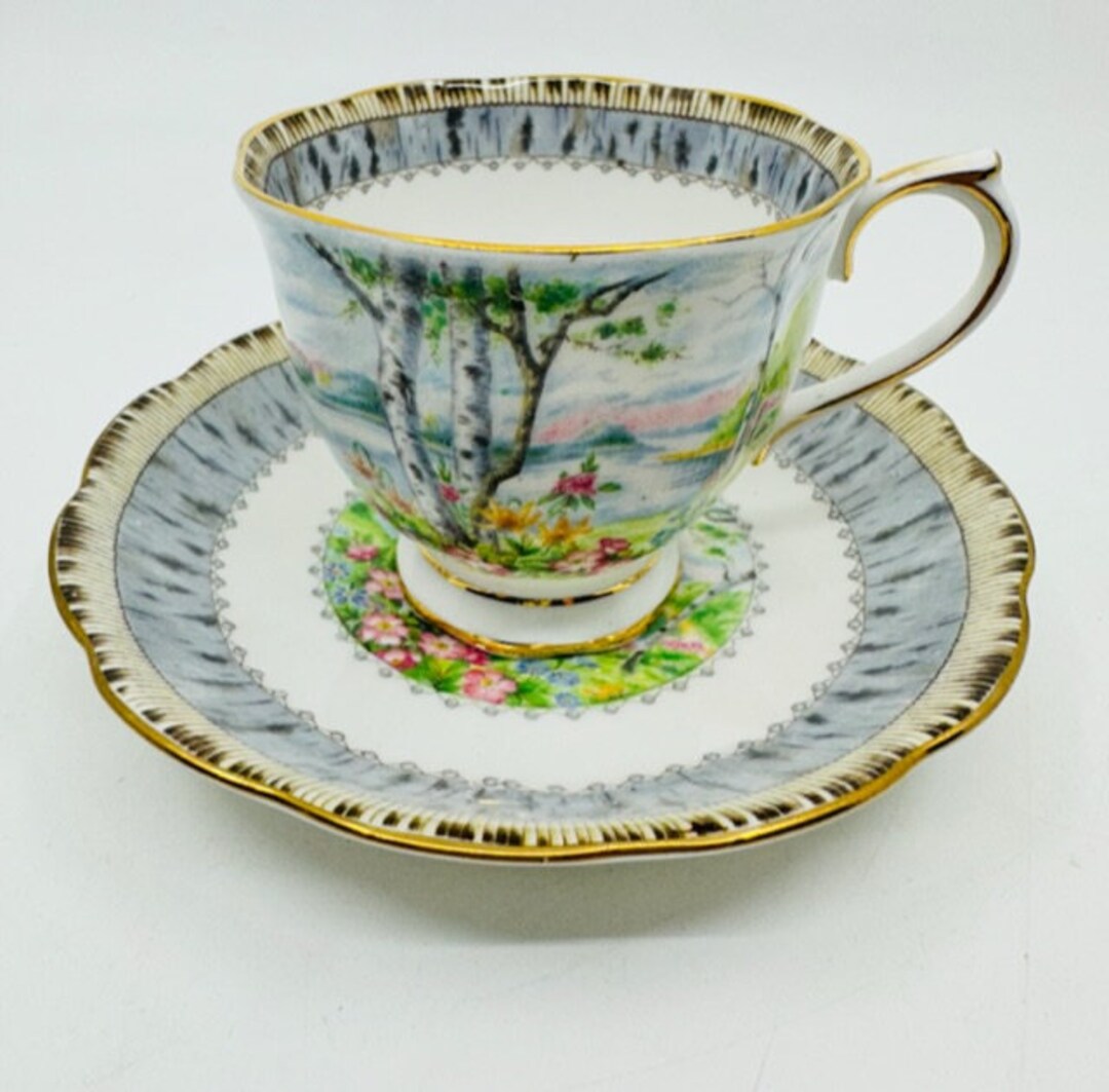 Royal Albert Silver Birch Teacup and Saucer - Etsy
