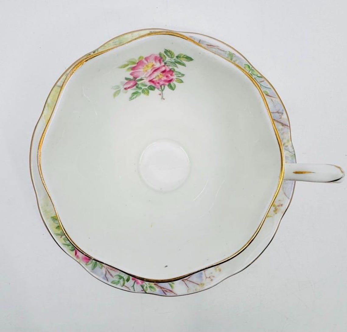 Royal Albert Wild Rose. Mid Century Teacup and Saucer - Etsy