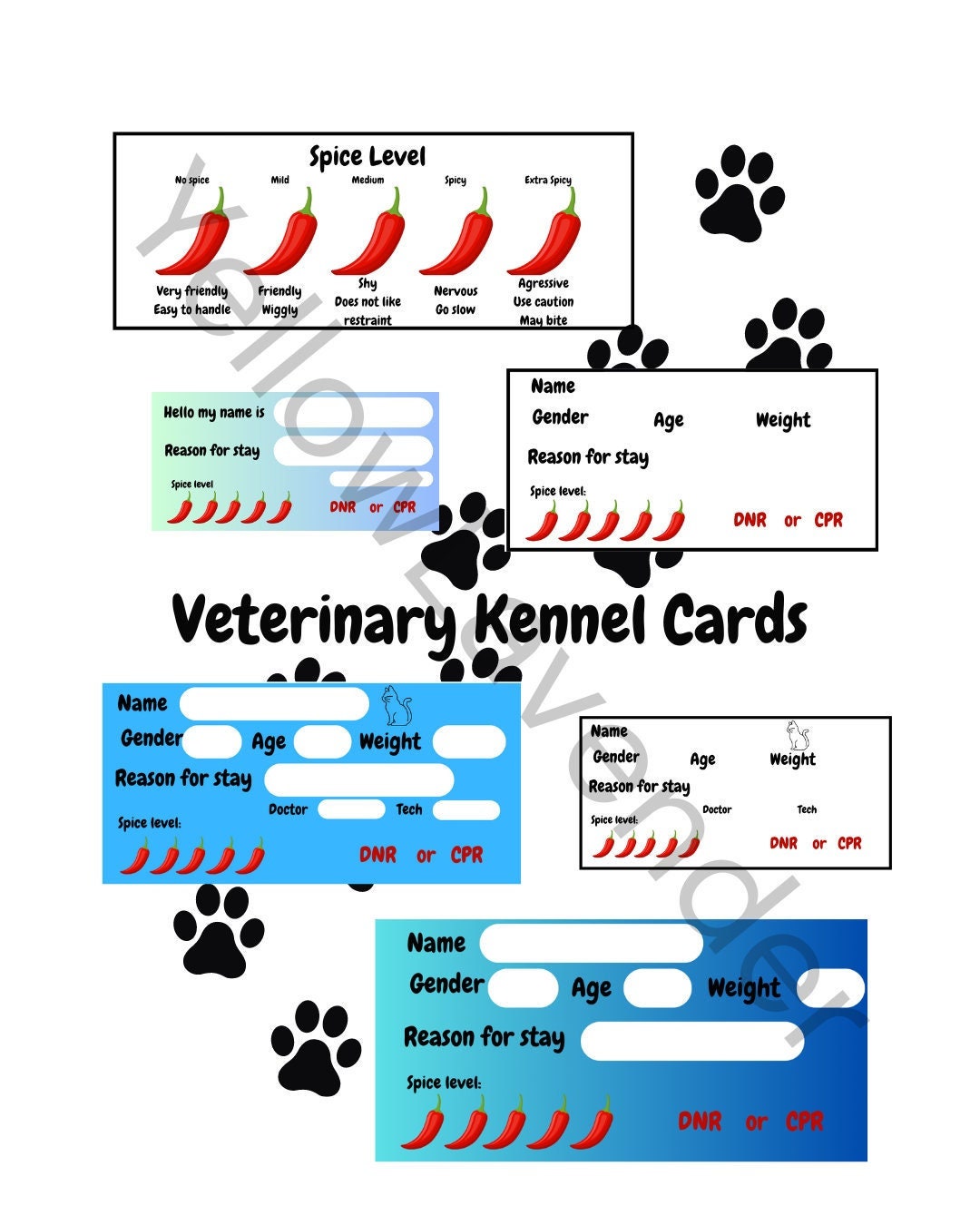 Veterinary Kennel Tags - Etsy