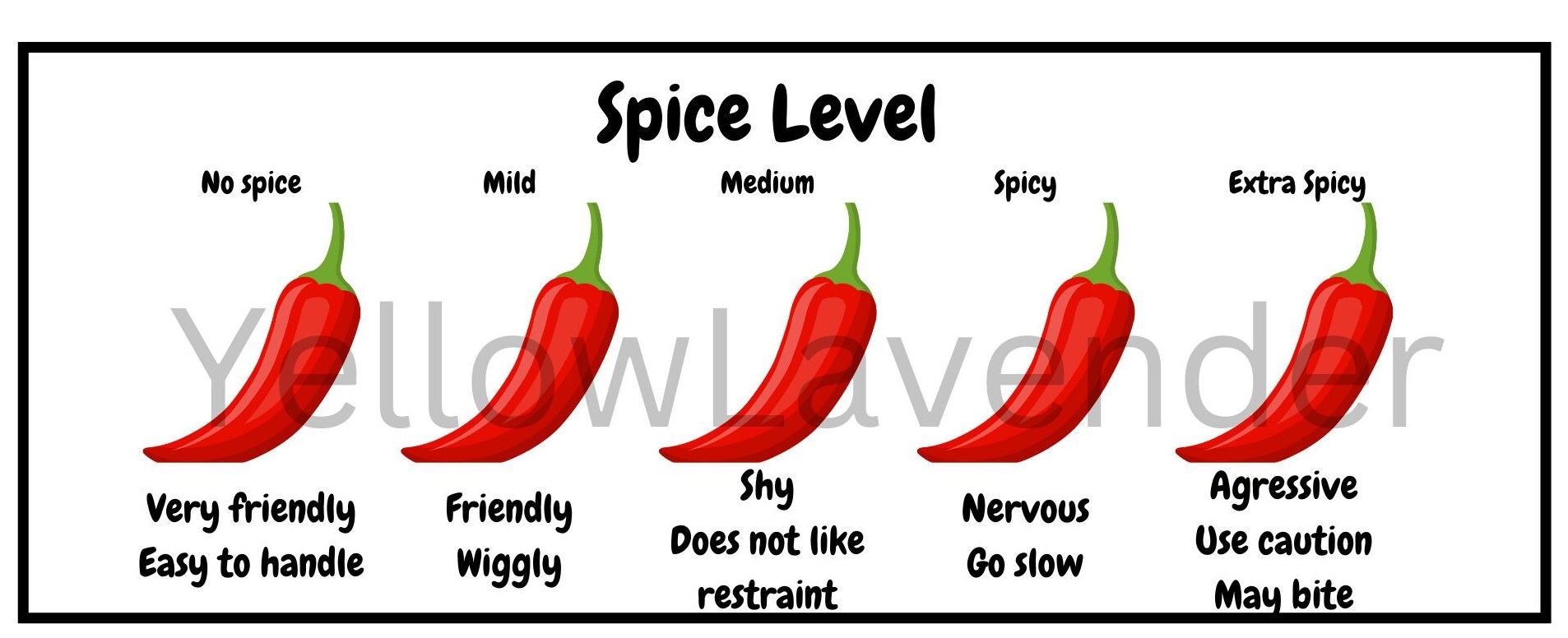 Kennel Spice Chart for Dogs and Cats - Etsy