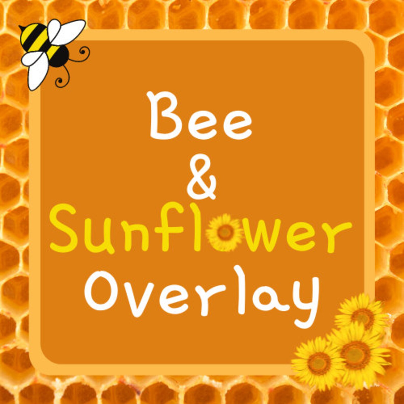 Bee Overlay, Twitch Overlay, Cute Overlay, Stream Overlay. Sunflower - Etsy