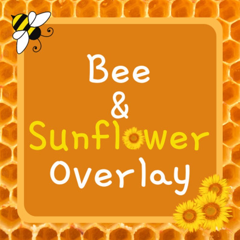 Bee Overlay, Twitch Overlay, Cute Overlay, Stream Overlay. Sunflower - Etsy