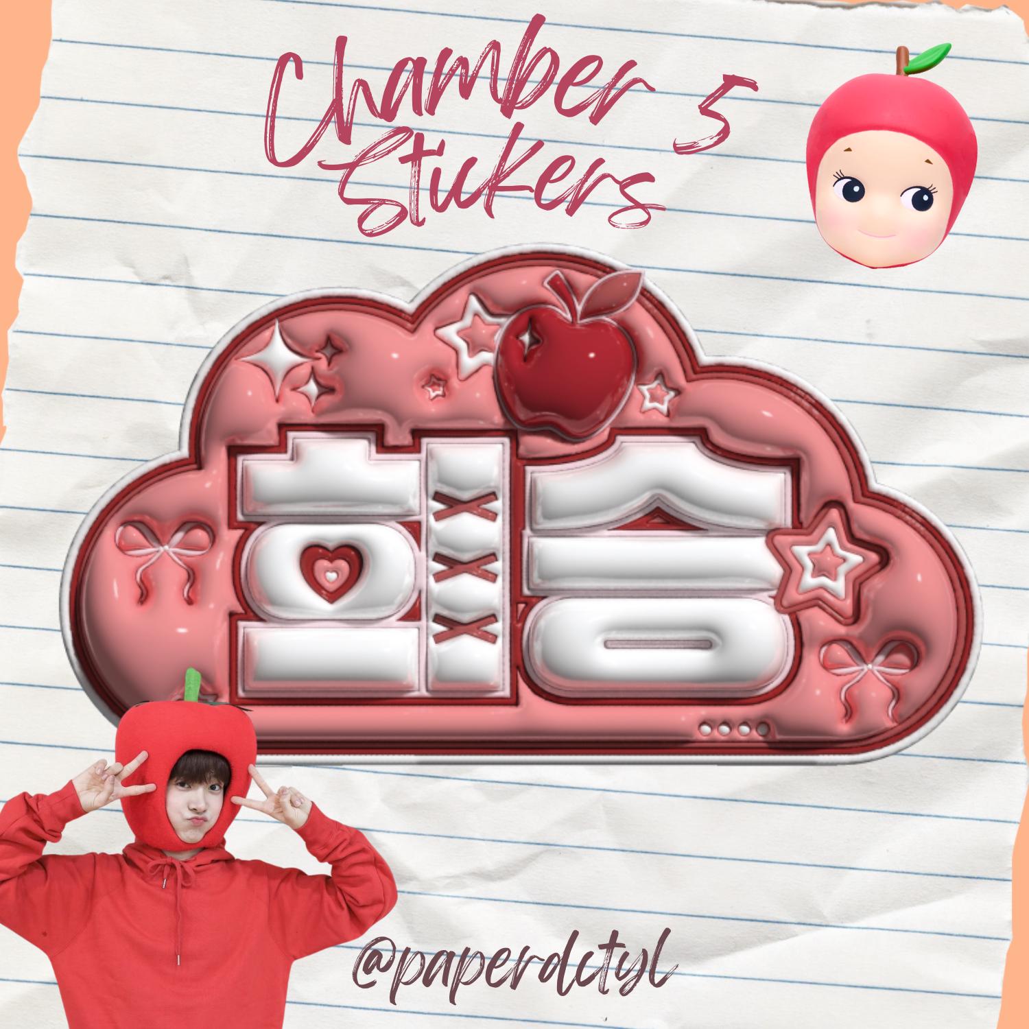 Enhypen 3D - Reusable Vinyl Stickers (chamber 5) - Etsy