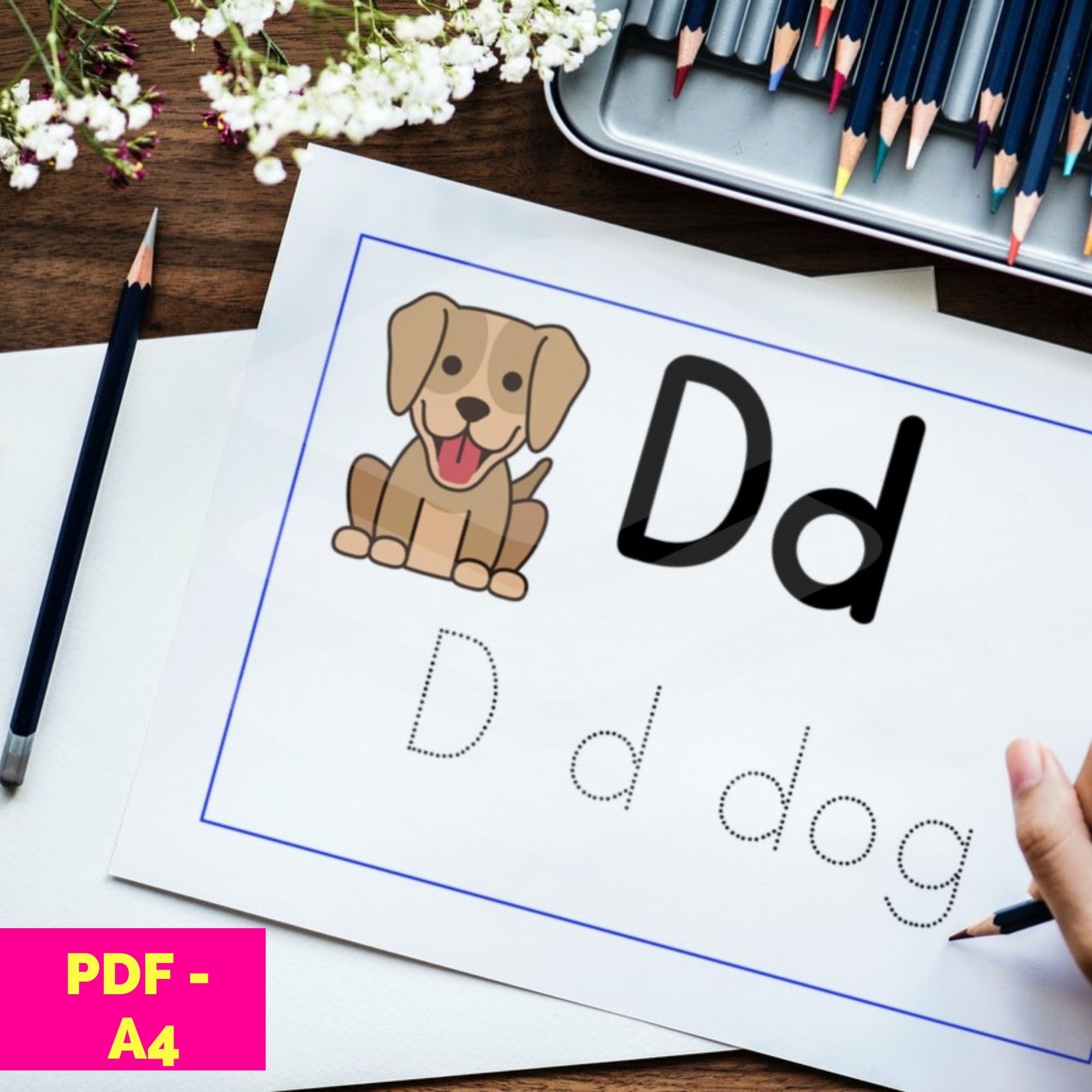 Alphabet Flashcards, ALPHABET Tracing Cards, Letter Formation, Fine ...