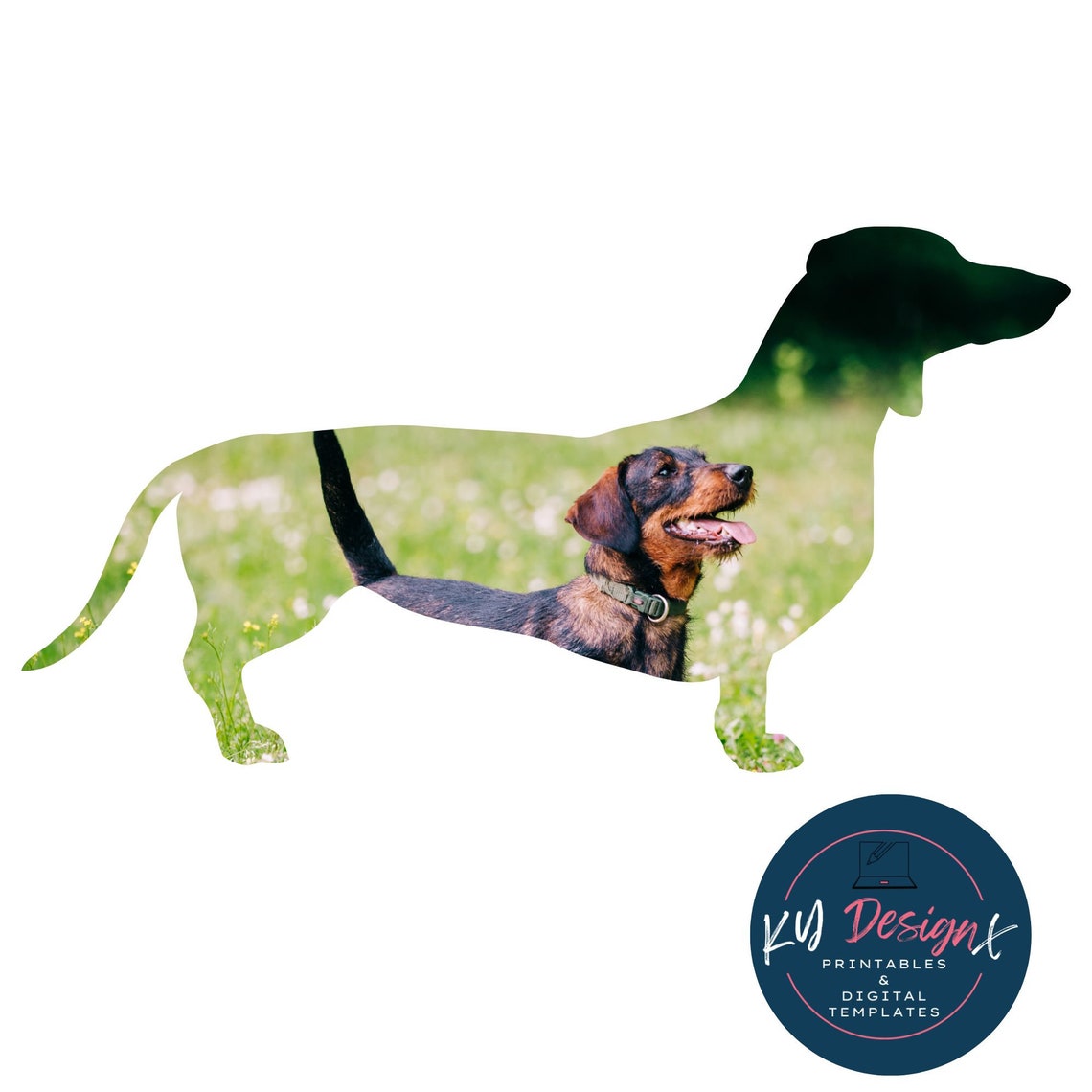 30 Canva Frames Dogs, Canva Templates, Canva Custom Made Frames, Mock ...