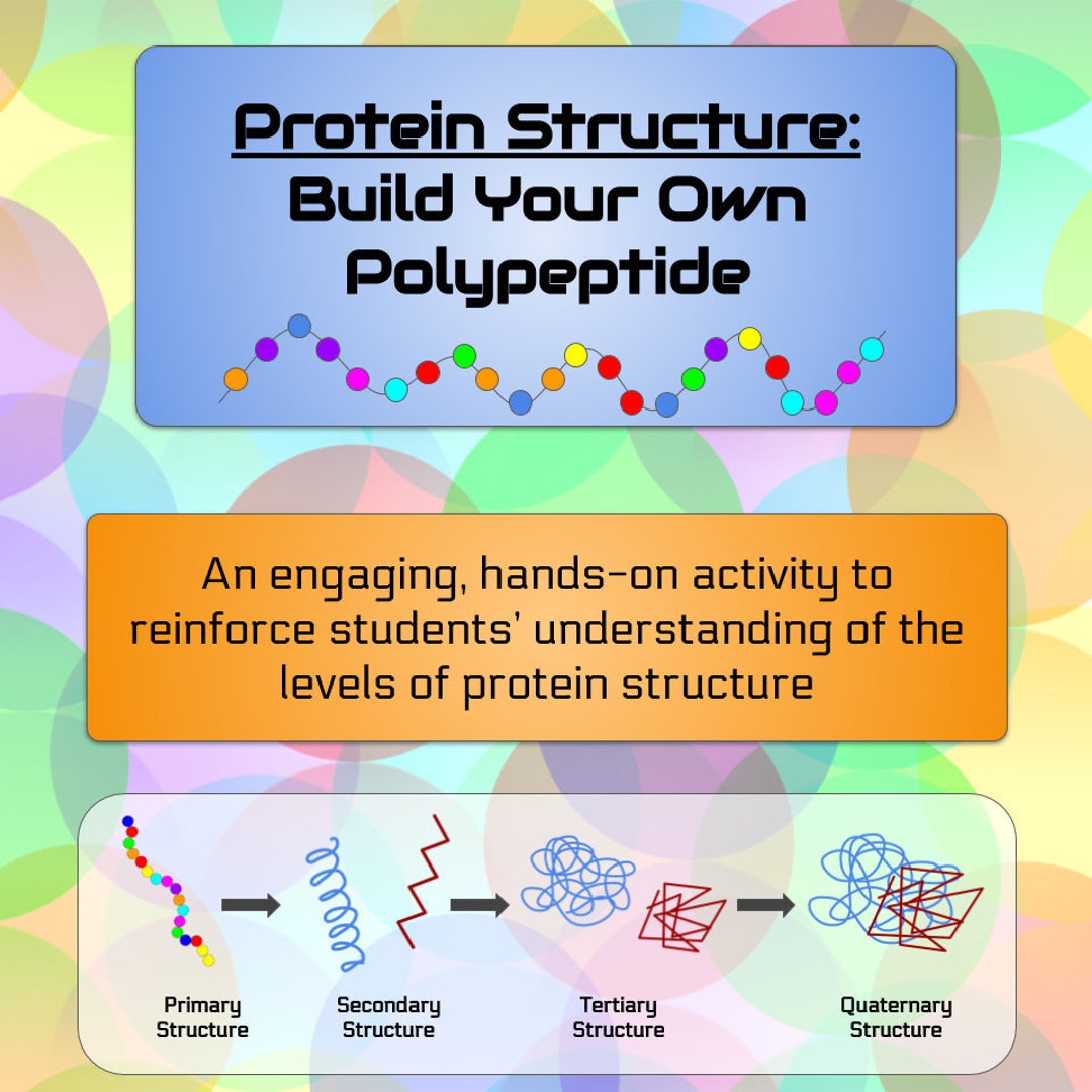 Protein Structure: Build Your Own Polypeptide - Etsy UK
