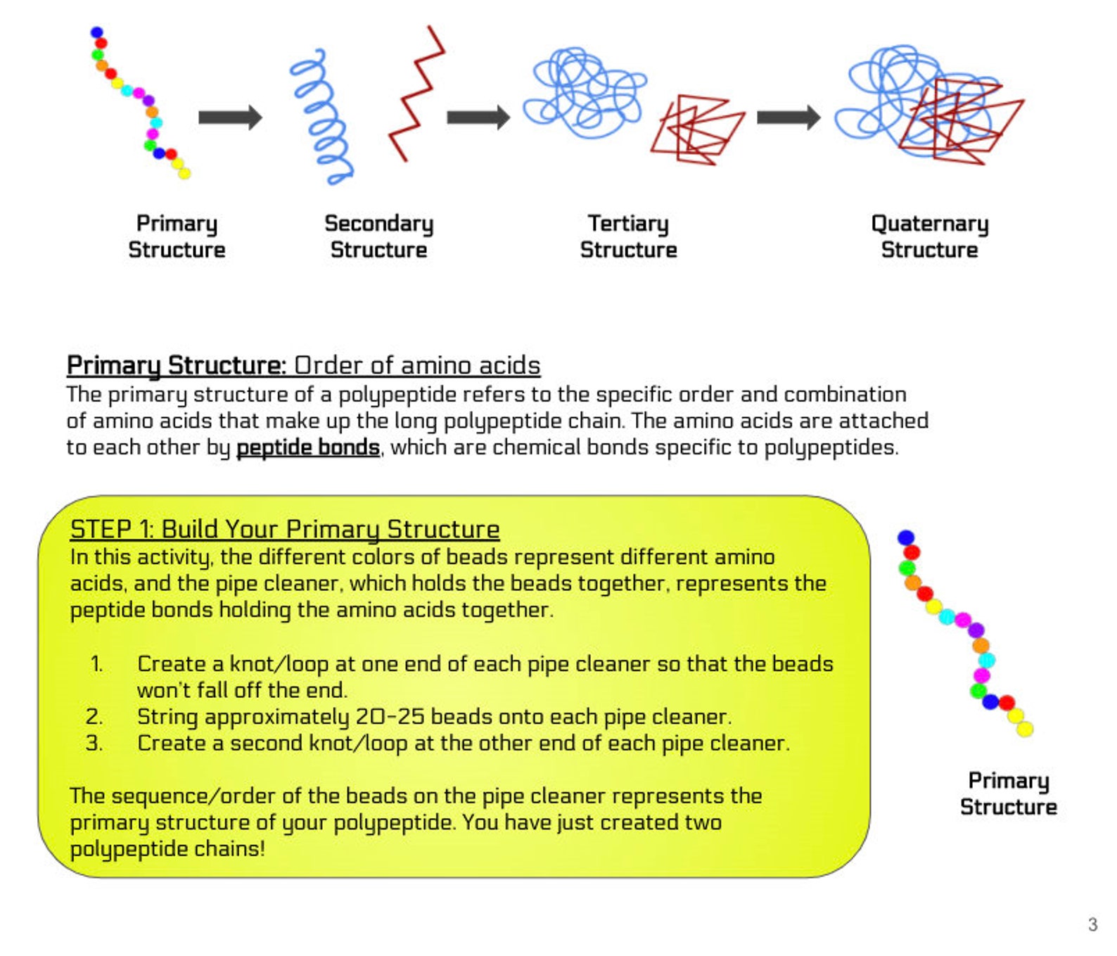 protein-structure-build-your-own-polypeptide-etsy