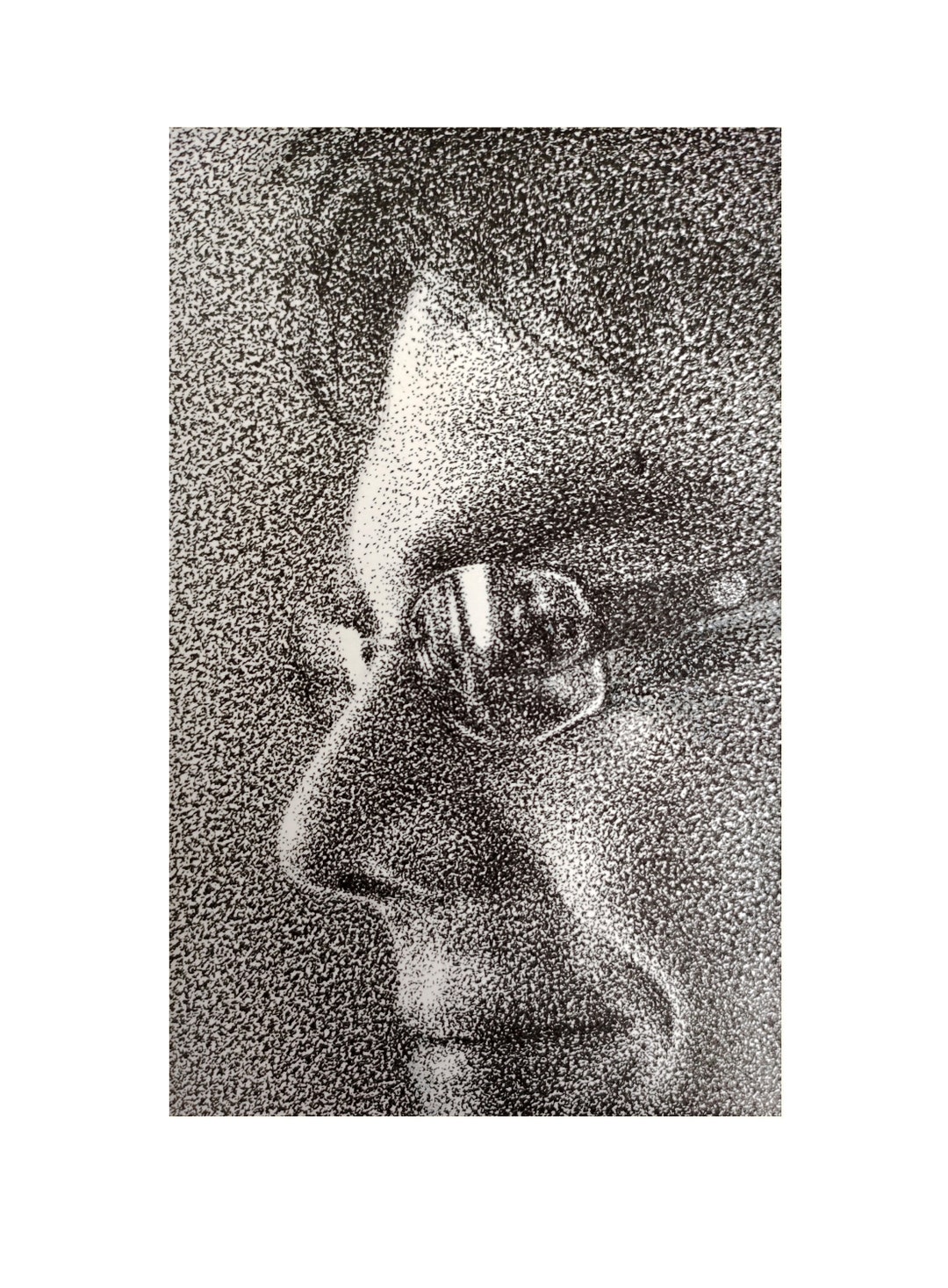 Custom Black and White Portrait, Hand Drawn Realistic Dot Art Portrait ...
