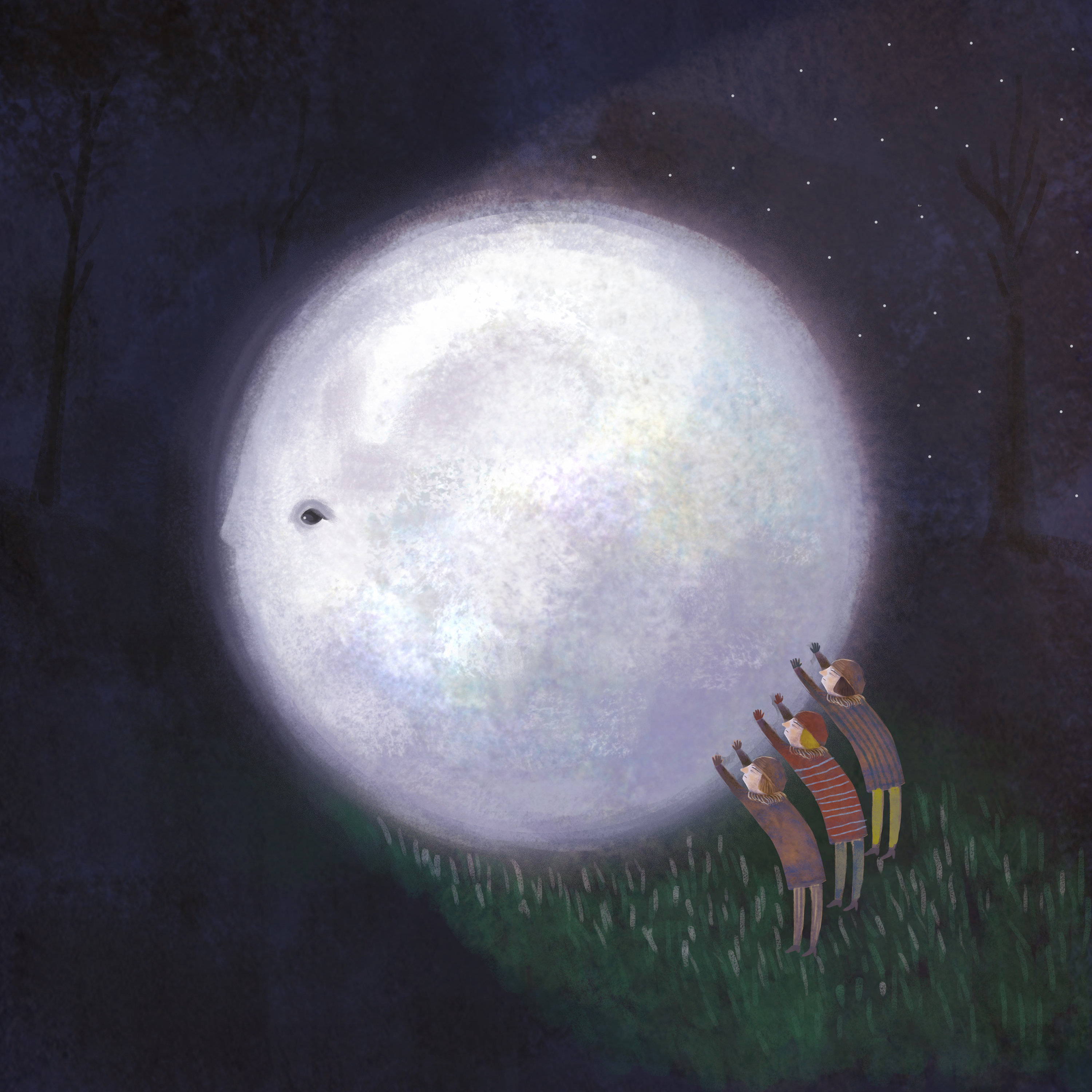 Children Book Commission Pack, Custom Illustrations Book Cover Graphic ...