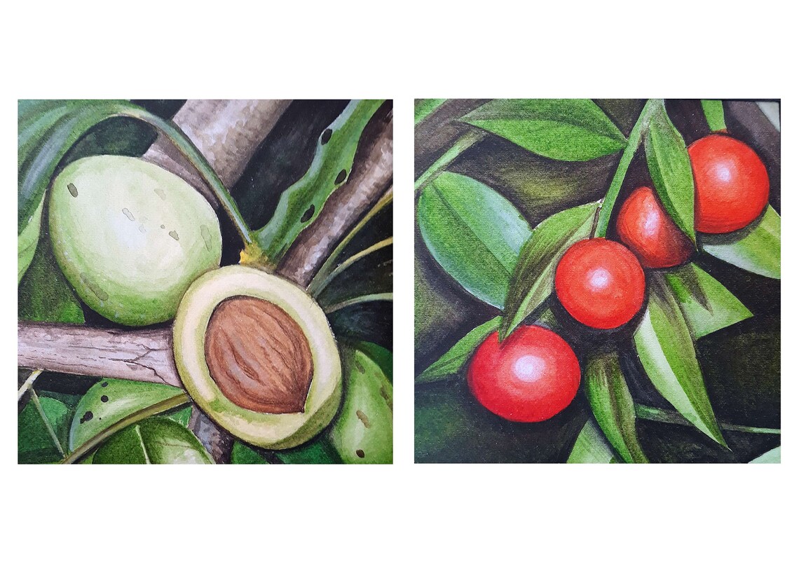 Illustrator for Hire, Custom Wildlife Art Commission, Custom Scientific ...