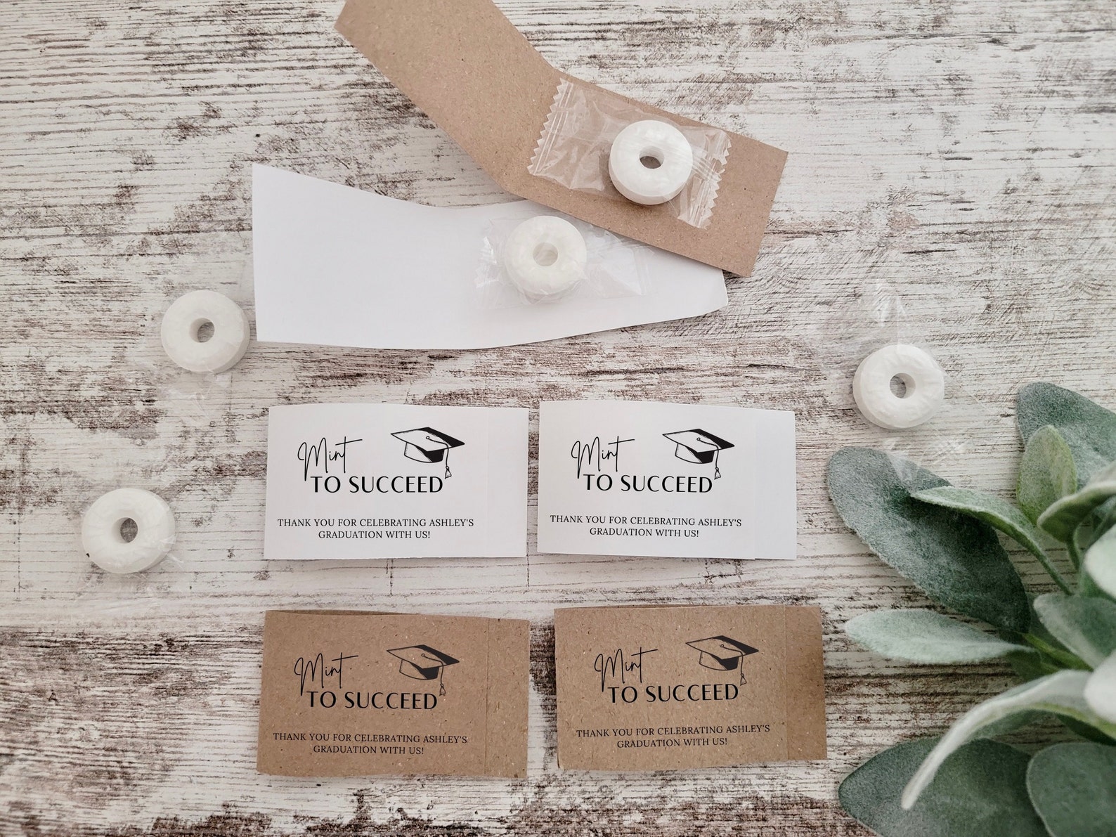 Graduation Mint Cards Mint to Succeed Class of 2023 - Etsy