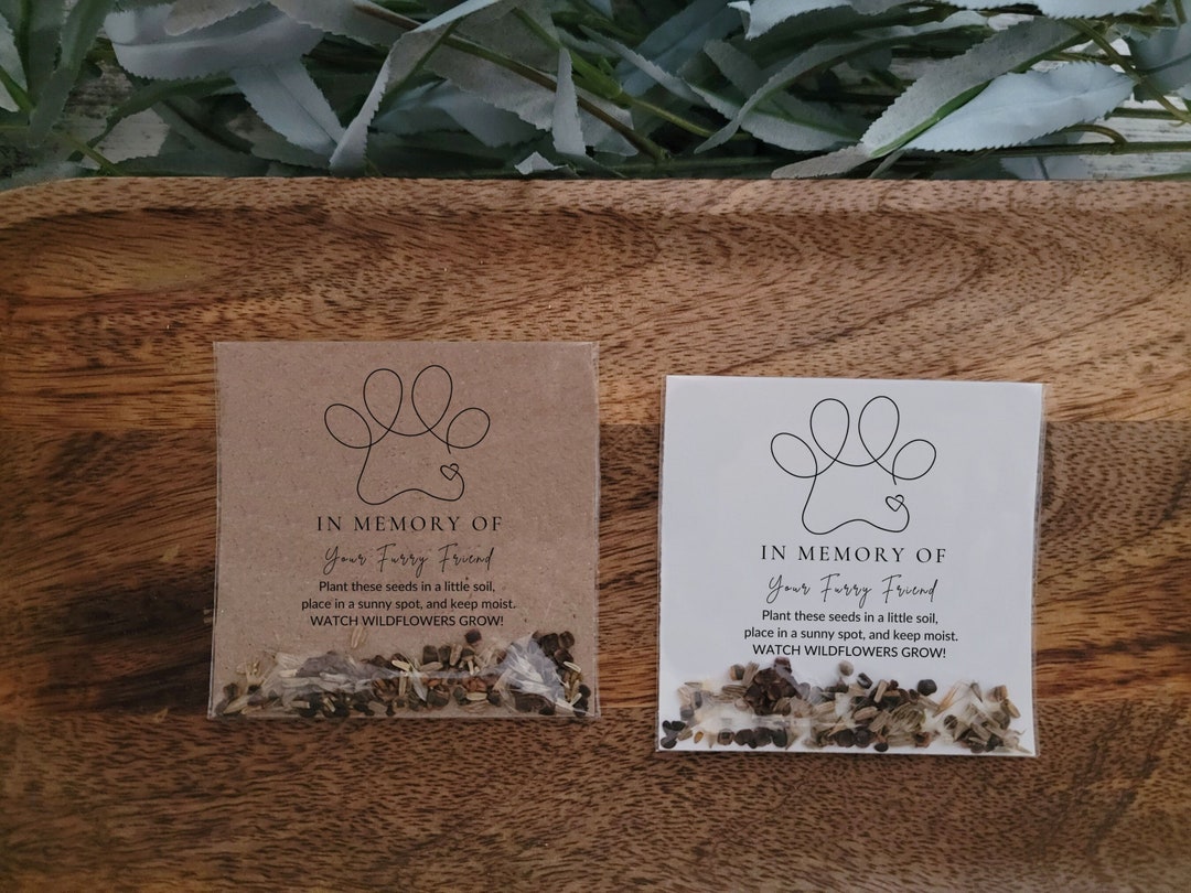 Pet Sympathy in Memory of Pet Cards Pet Condolence Cards Remembrance ...