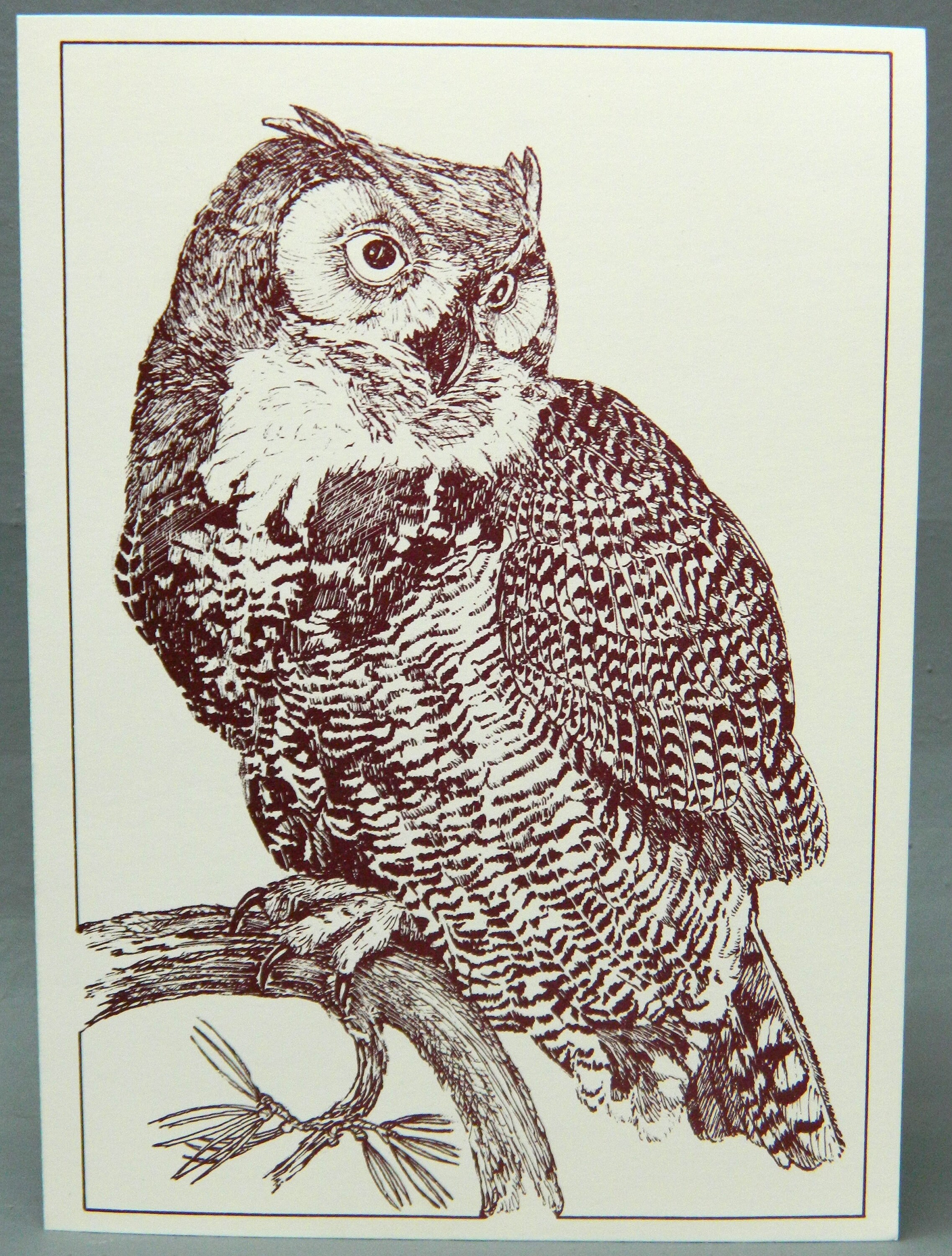 Blank, Bird Note Cards - Etsy