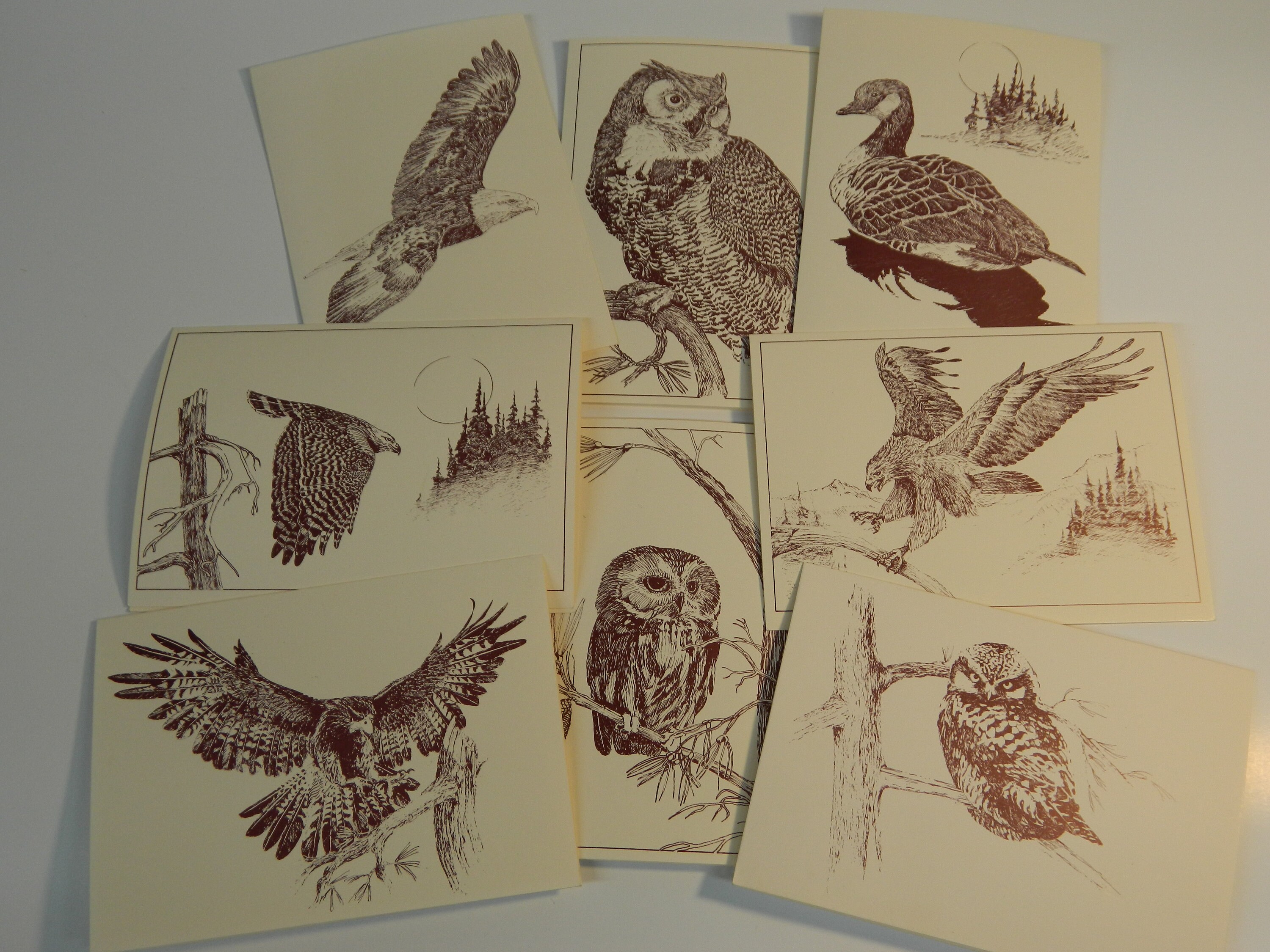 Blank, Bird Note Cards - Etsy