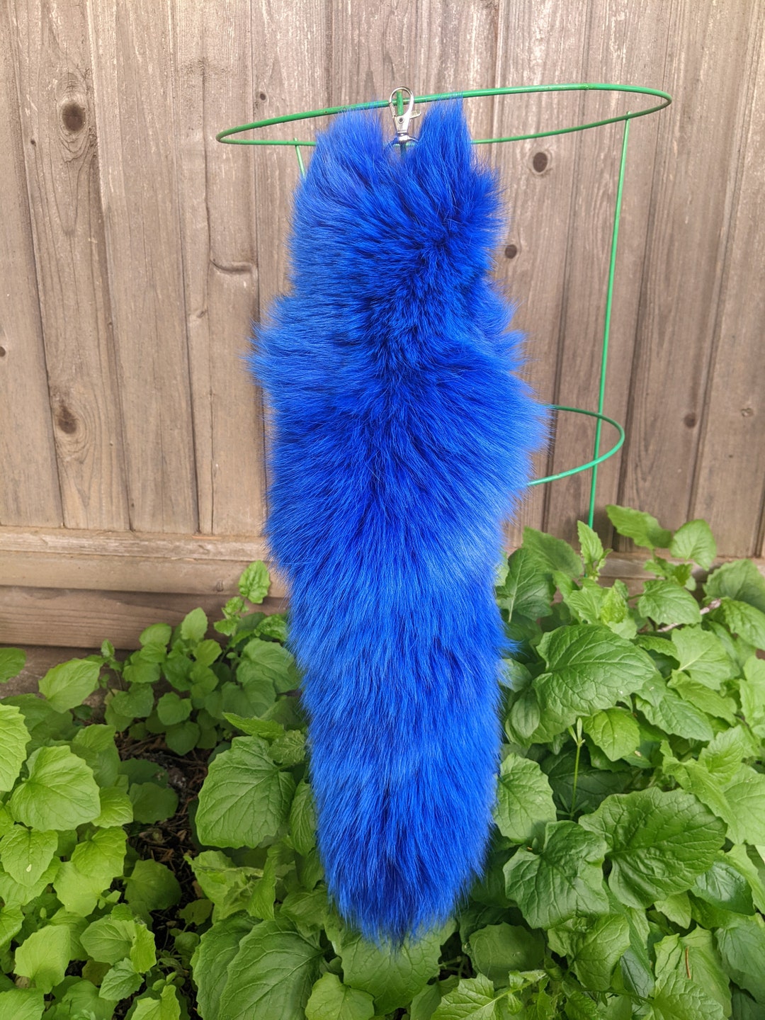 Real Blue Dyed Arctic Fox Fur Tail With Hand Riveted Leather Strap ...