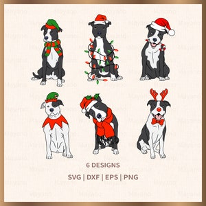 Christmas Pitbull Dogs Svg, Christmas Svg, Files for Cricut, Silhouette ...
