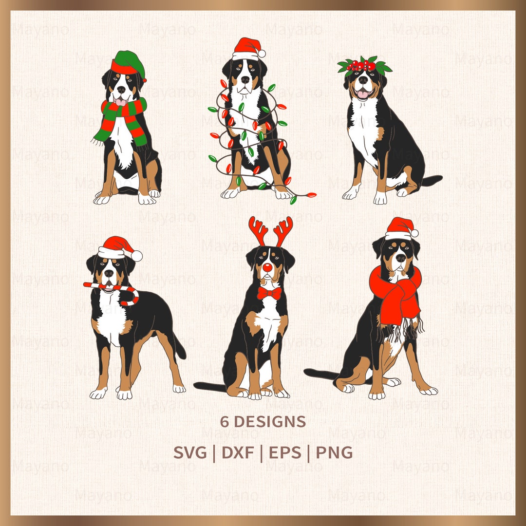 Christmas Swiss Mountain Dogs Svg, Christmas Svg, Files for Cricut ...