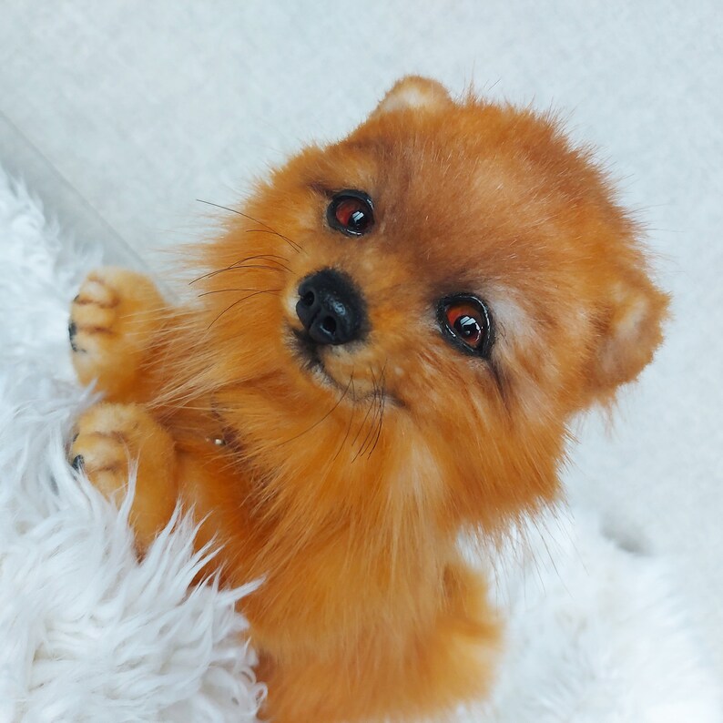 Realistic Toy Pomeranian Dog Spitz Puppy - Etsy