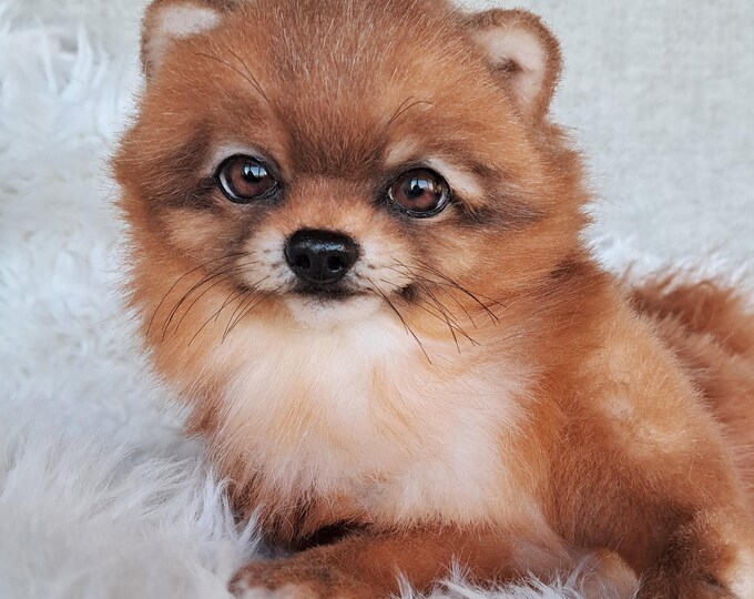 Pomeranian Puppy Mars Stuffed Toy - Etsy