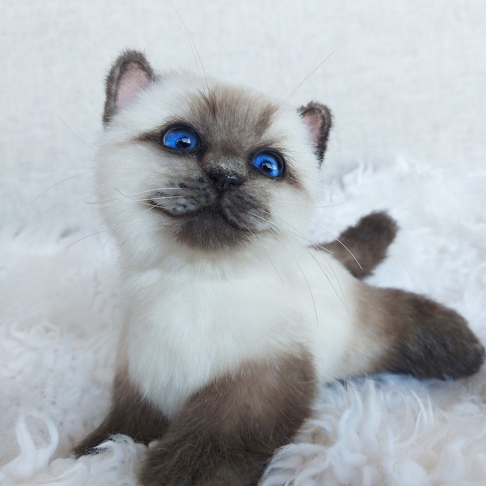 Siamese Kitten Plush Toy Realistic Stuffed Cat - Etsy