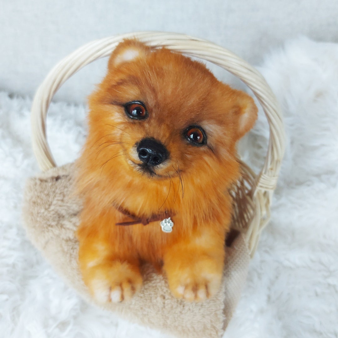 Realistic Toy Pomeranian Dog Spitz Puppy - Etsy