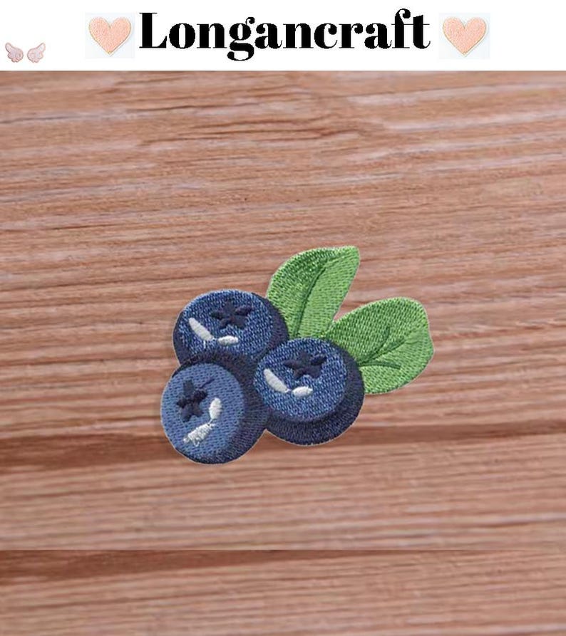Fruit Blueberry Embroidery Patch, 2 Pcs Iron on Patches, Embroidered ...