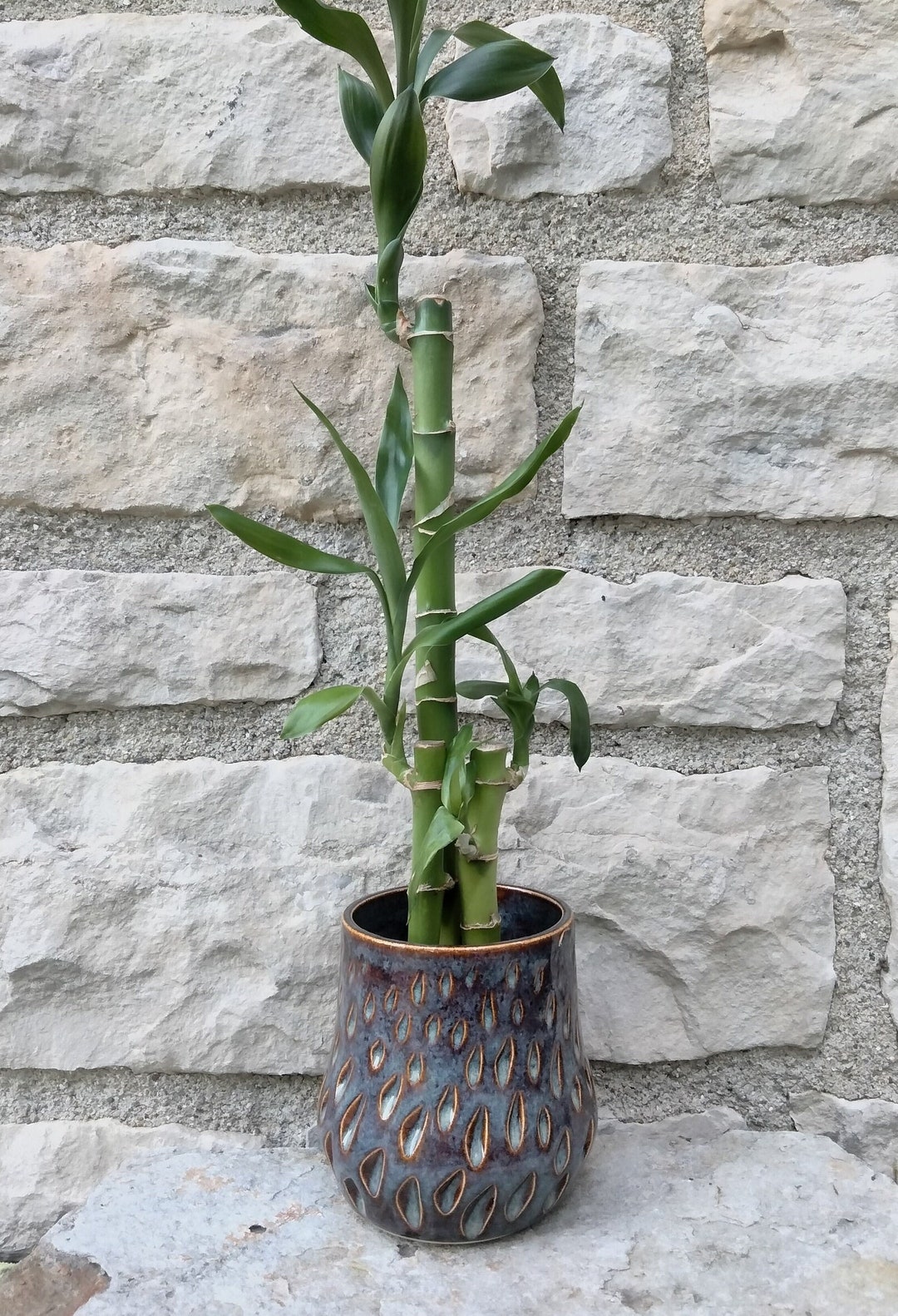Handmade Ceramic Bamboo Planter Earth - Etsy