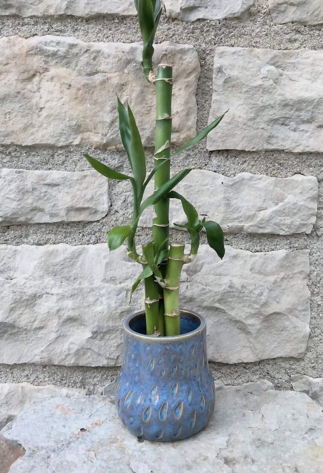 Handmade Ceramic Bamboo Planter Sea Spray - Etsy