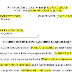 Florida Motion to Enforce Child Support Payments (father) - Etsy