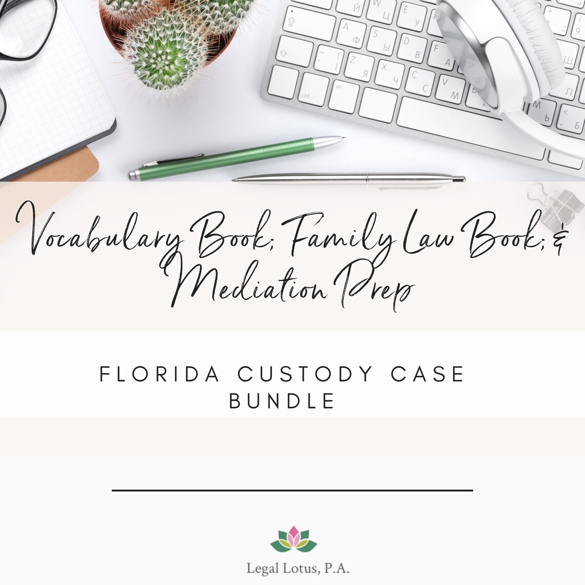 DIVORCE and CUSTODY Case Bundle Family Law Guide Vocabulary Book and Mediation Prep Workbook for ...