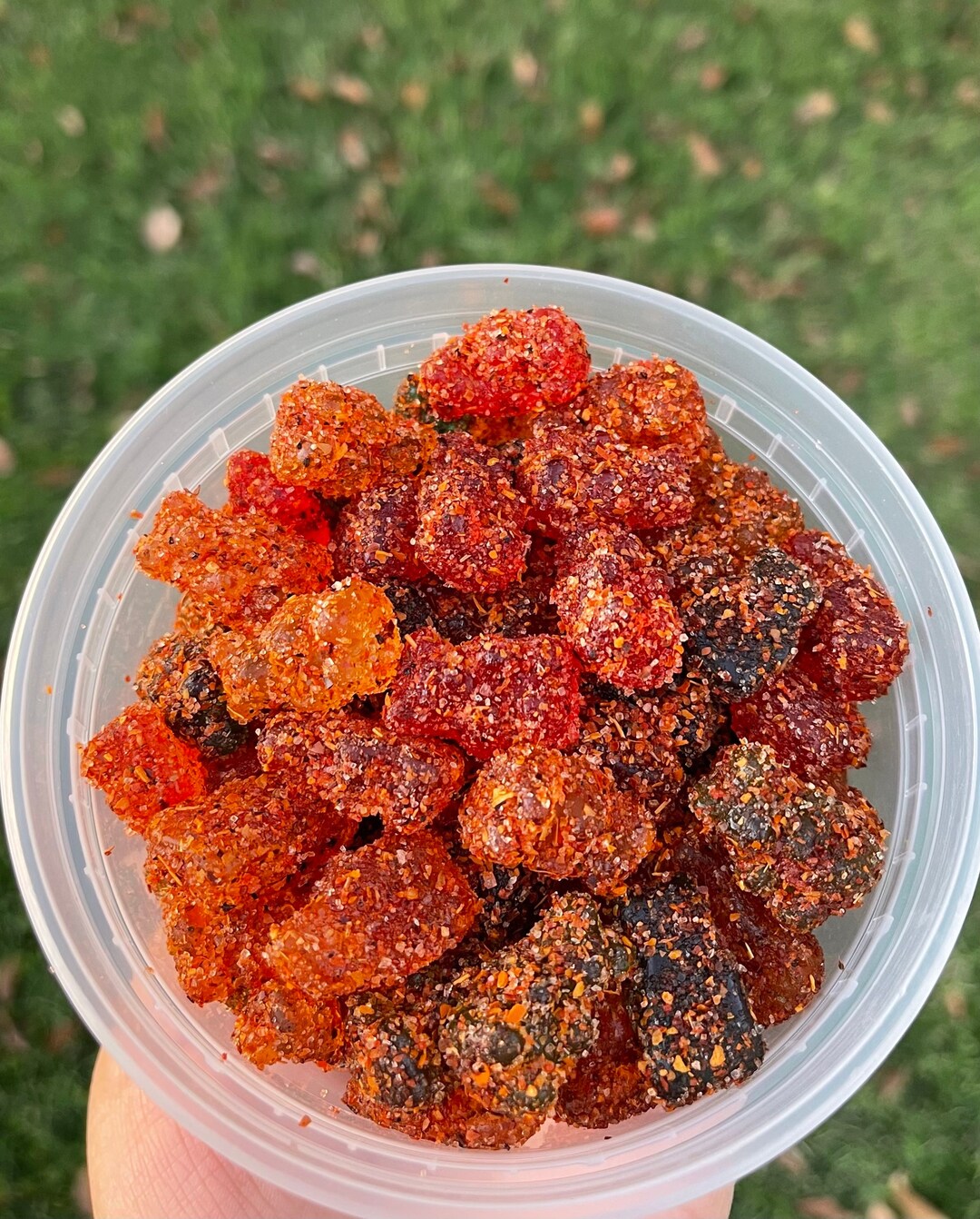 Spicy Gummy Bears - Etsy