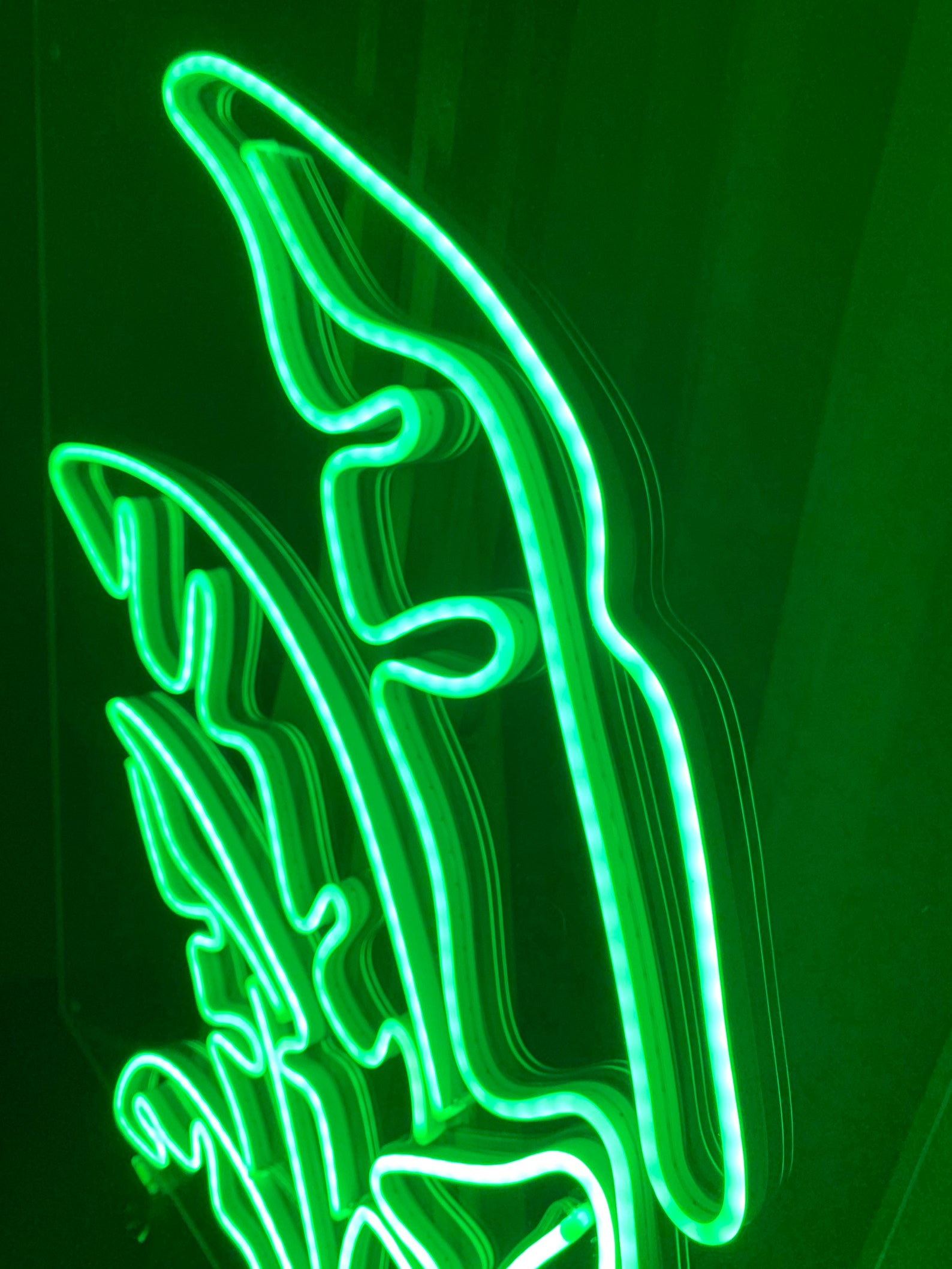 Neon Sign Tropical Leaves | Etsy