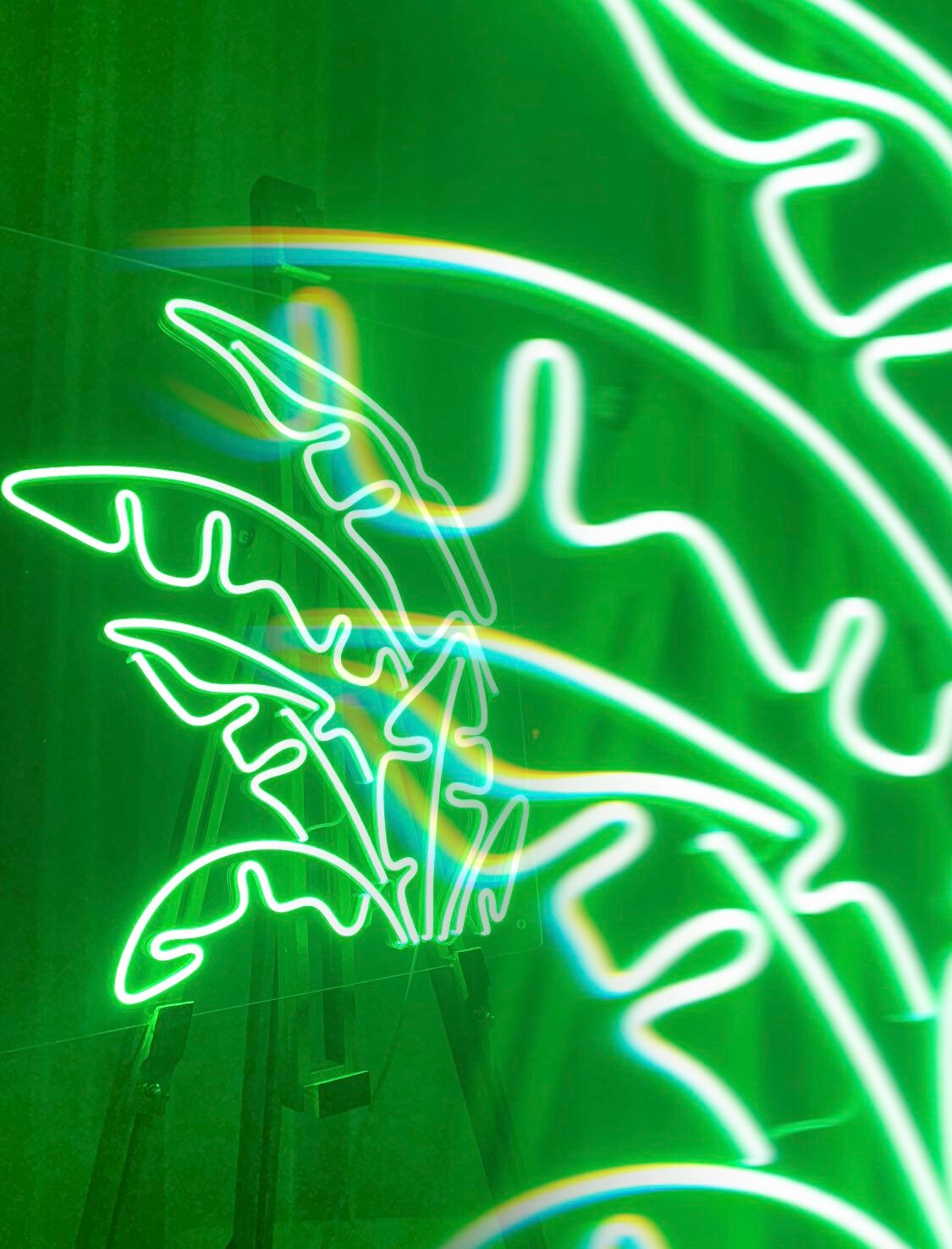 Neon Sign Tropical Leaves | Etsy