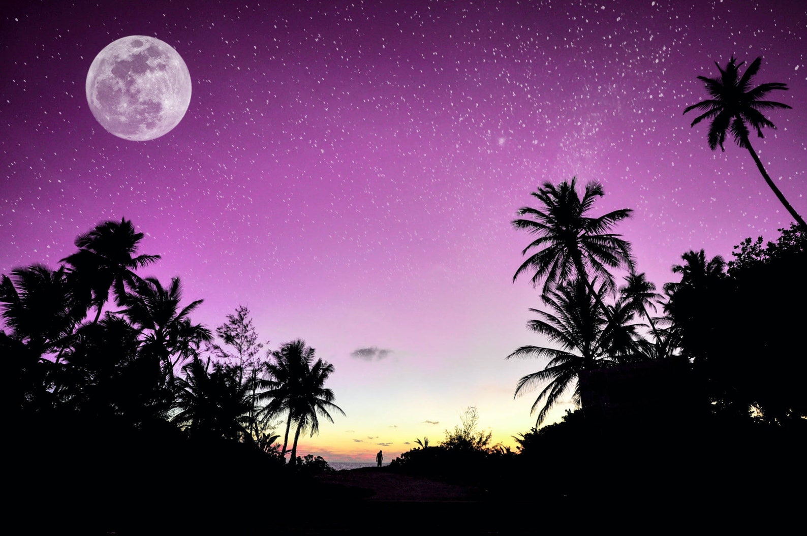 Photoshop Night Sky Brush Pack / Professional / Easy to Use - Etsy