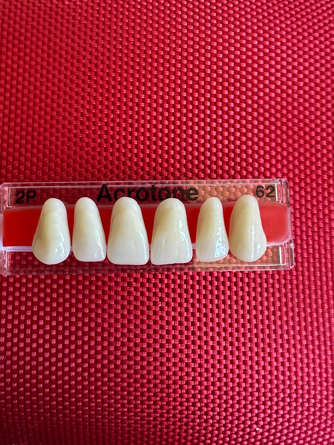 6 Acrylic Denture Teeth - Etsy