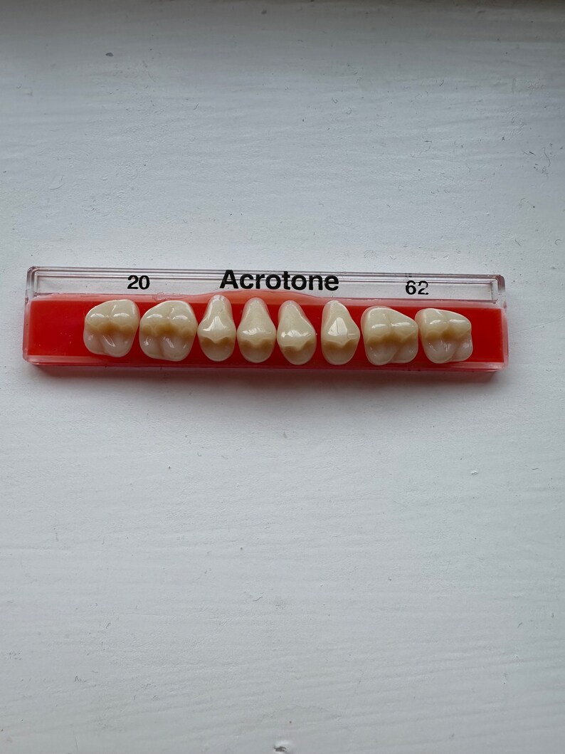 8 Upper Posterior Acrylic Denture Teeth - Etsy