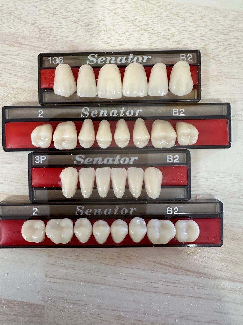 28 Acrylic Denture Teeth - Etsy