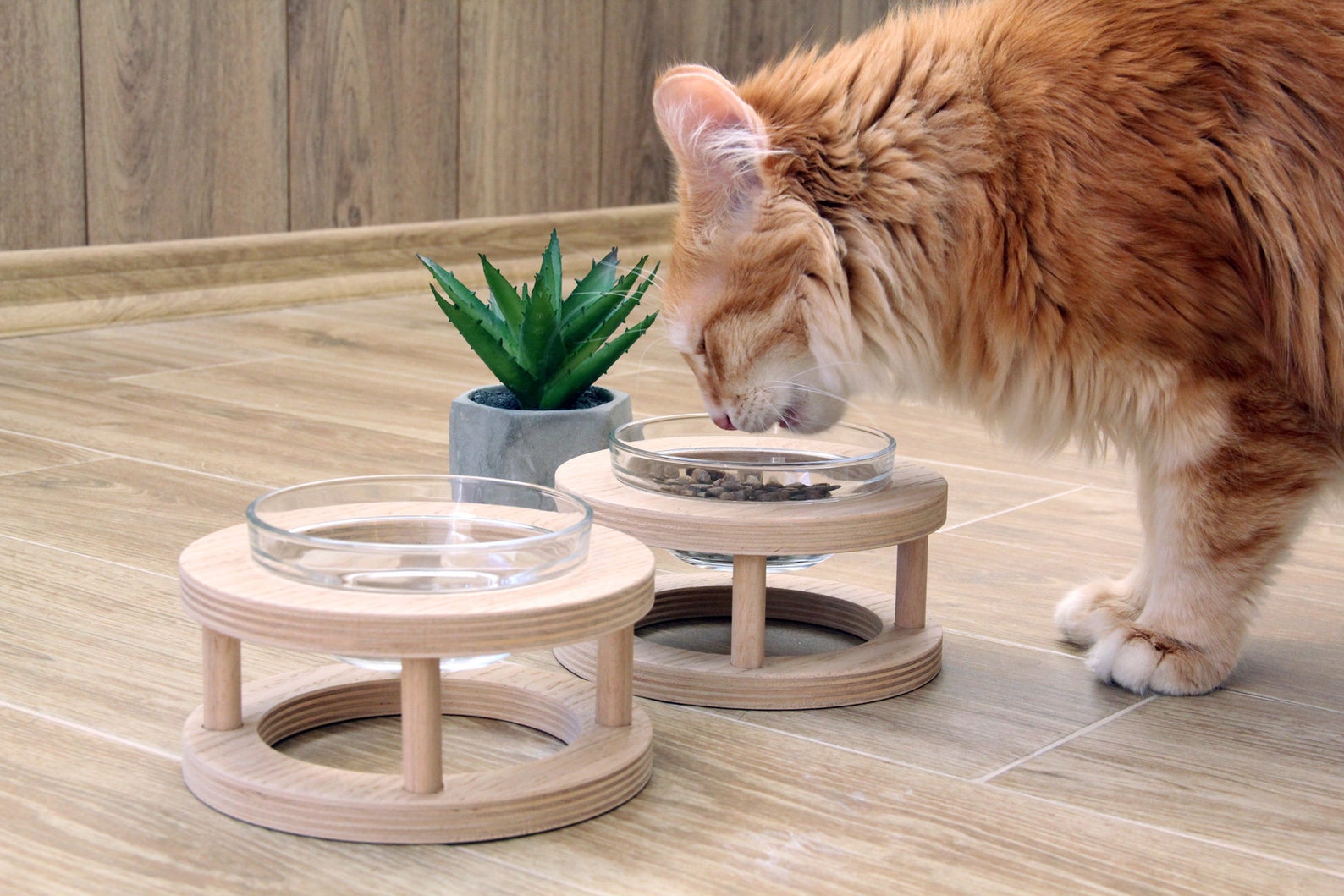 Single Pet Bowls, Small Medium Large Bowl, Cat Feeder, Cat Bowl, Raised ...